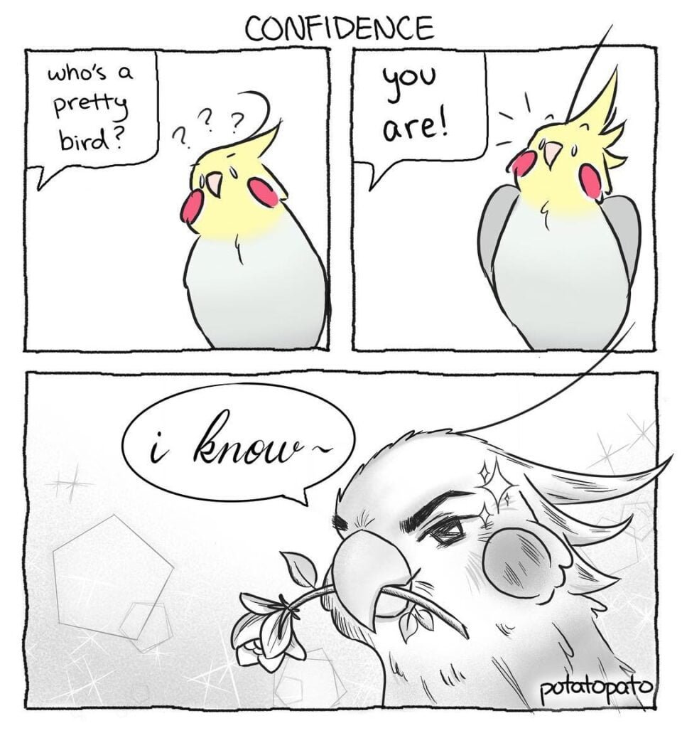 Hilarious Cockatiel 22 Comics to Brighten Your Day