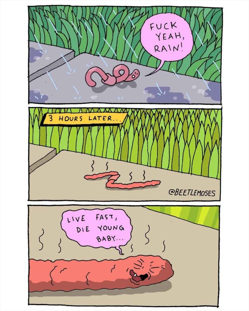 41 Mind-Blowing Comics with Jaw-Dropping Twists by Artist