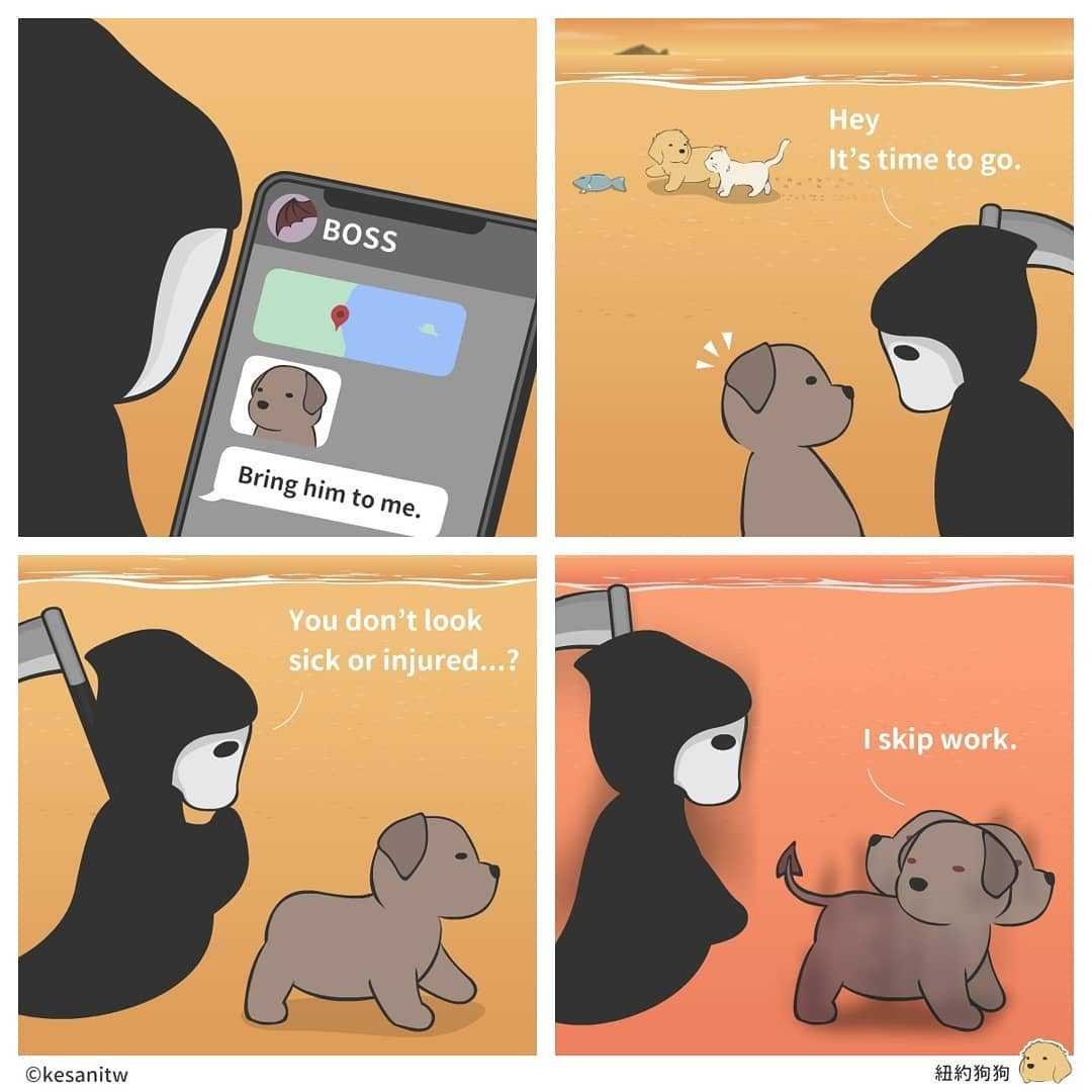 40 Adorable Animals Comics in Hilarious Human Scenarios