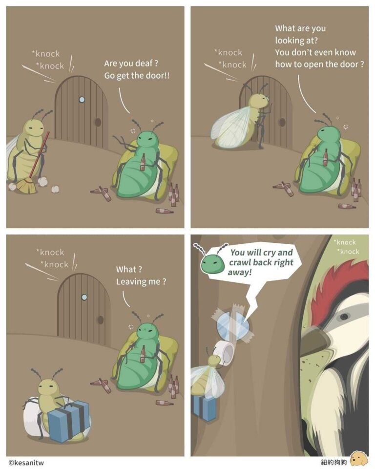 40 Adorable Animals Comics in Hilarious Human Scenarios