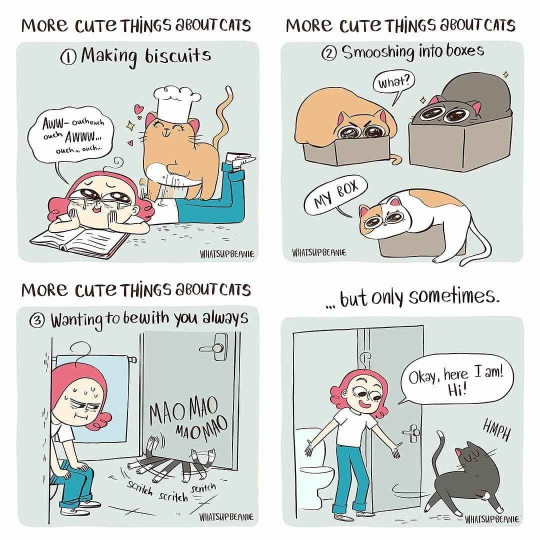 25 Comics That'll Melt Your Heart with Irresistible Cuteness of Cats ...